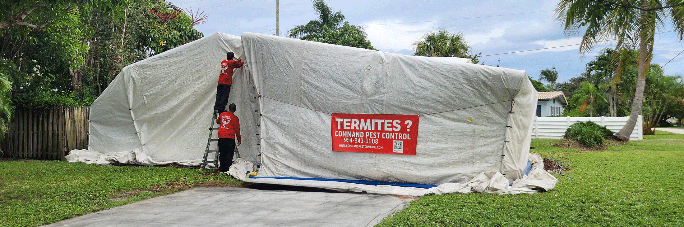 Why Command Pest Control | Pest & Rodent Control Professionals