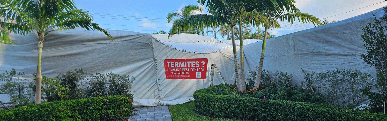 5 Signs it’s Time for a Termite Fumigation | Command Pest Control