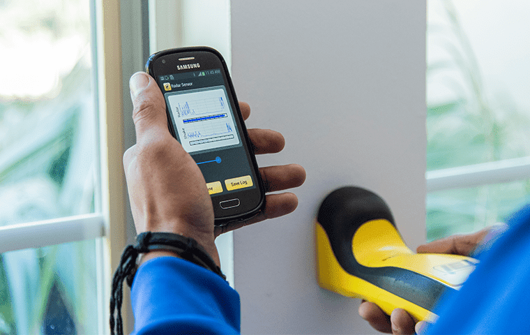 Termite Inspection Broward County | Pest Control Palm Beach