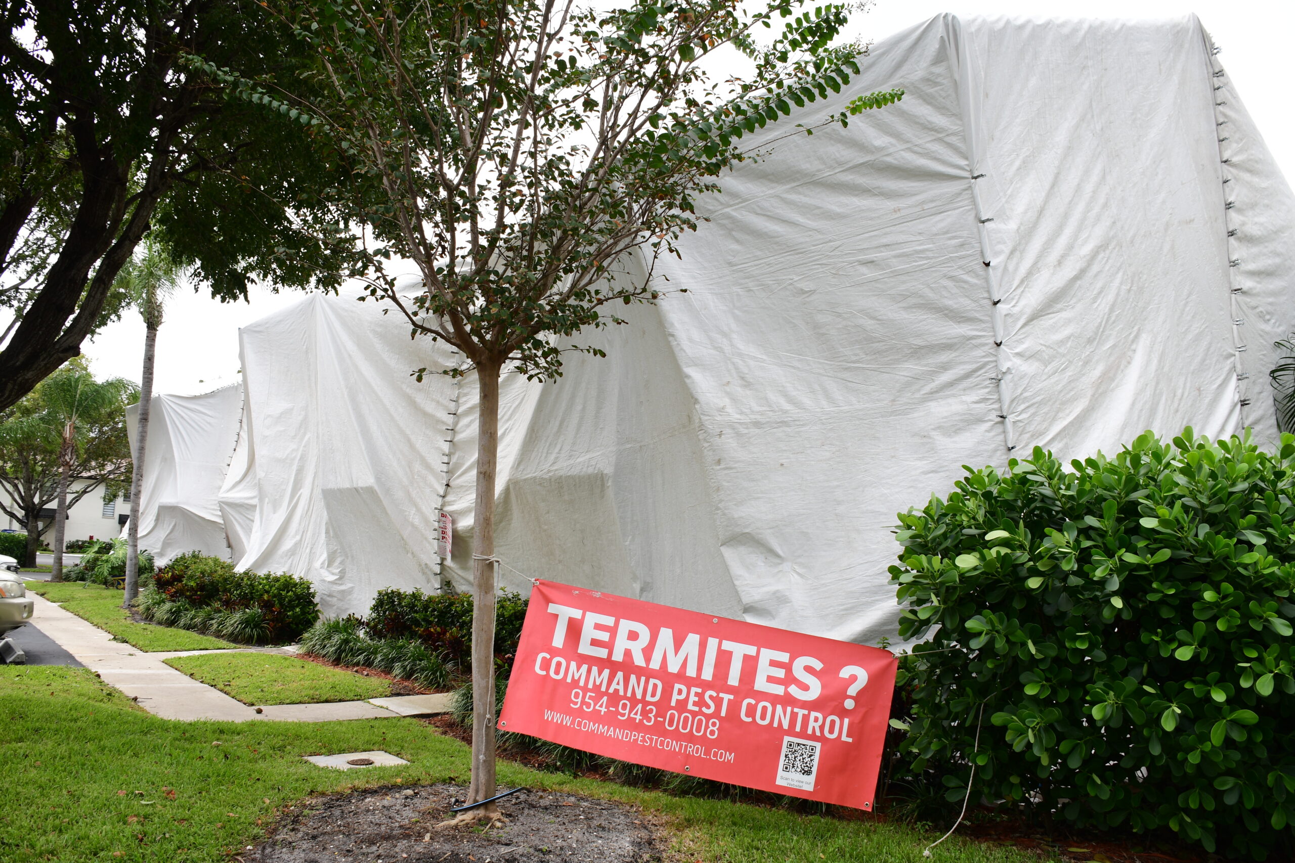 Spot Treatment vs. Tent Fumigation for Termite Control